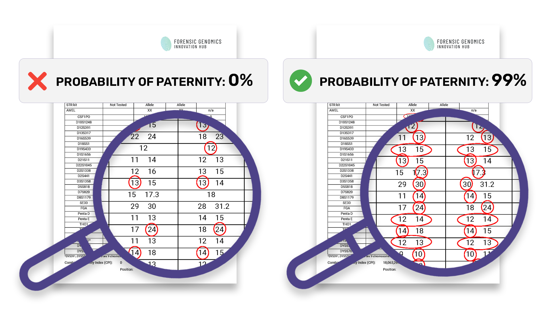 Understanding Your Dna Paternity Test Uk Report Dna DNA Testing